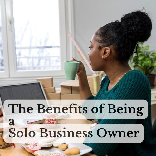 The Benefits of Being a Solo Business Owner | PLRmix